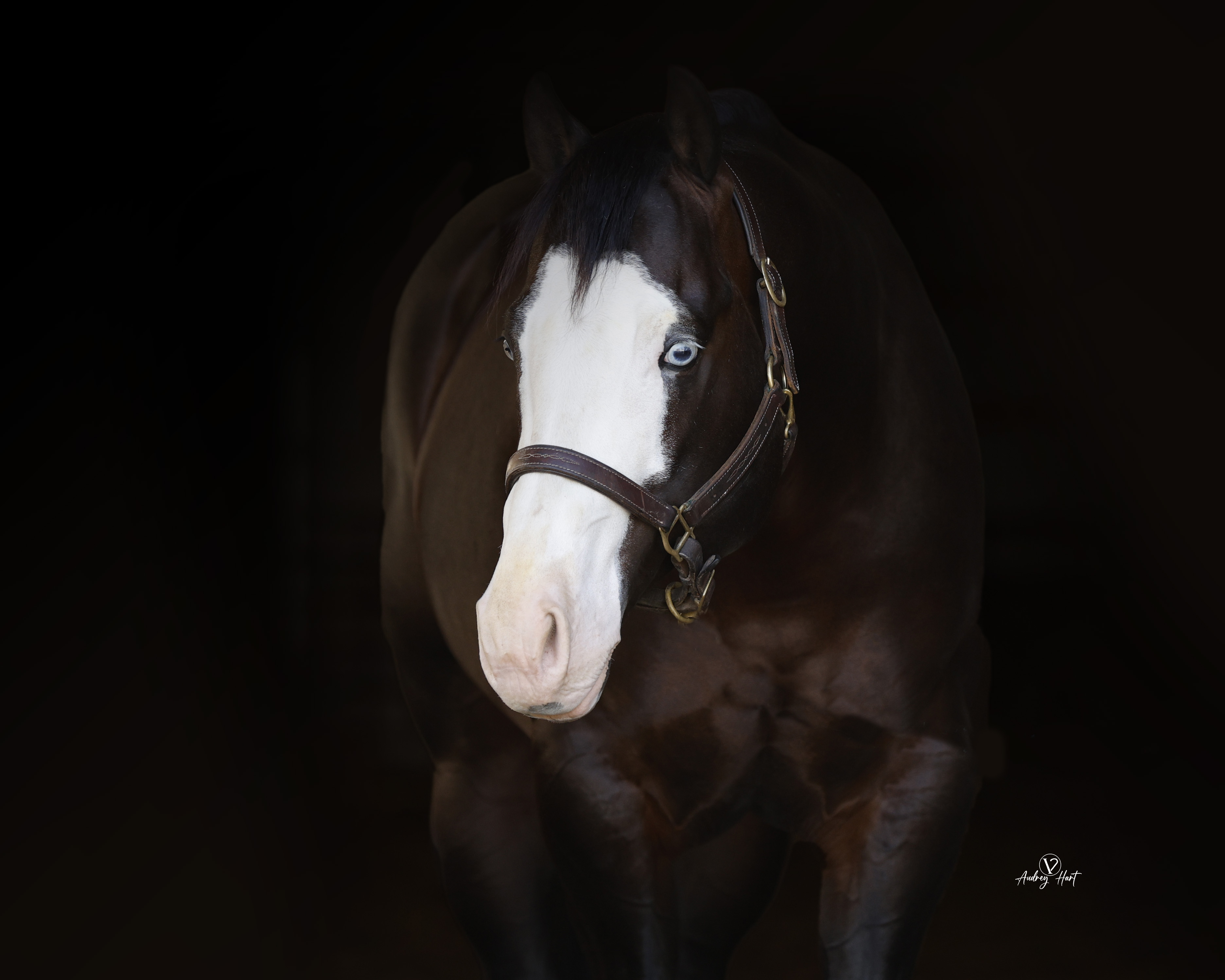 TEARNEY RANCH
